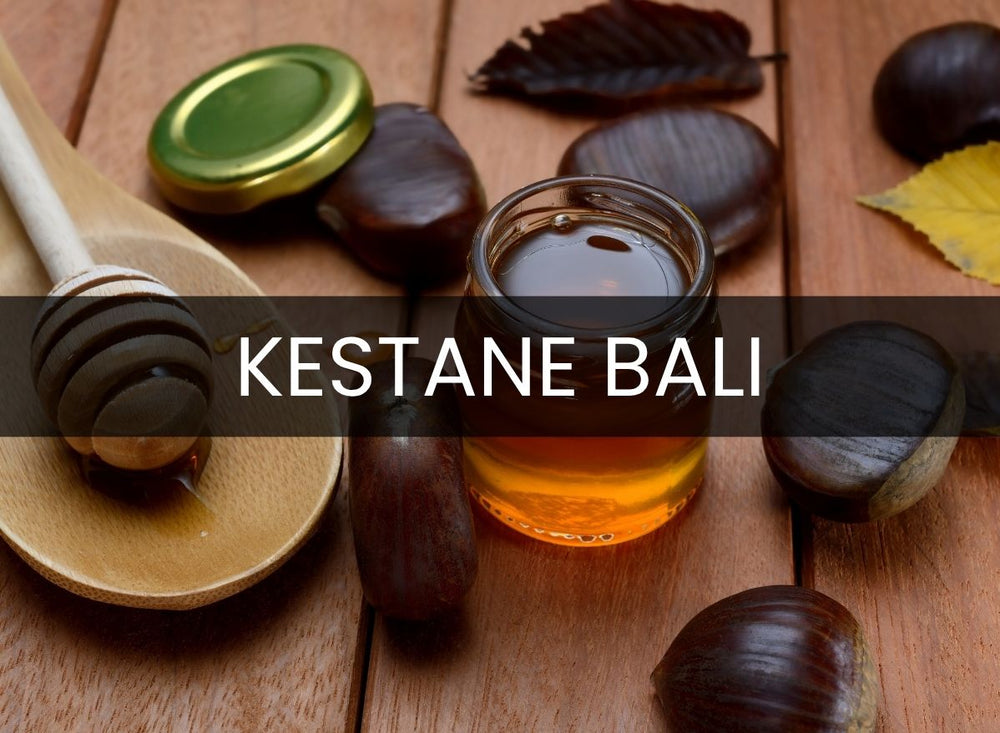 Kestane Balı Nedir? Faydaları Nelerdir?